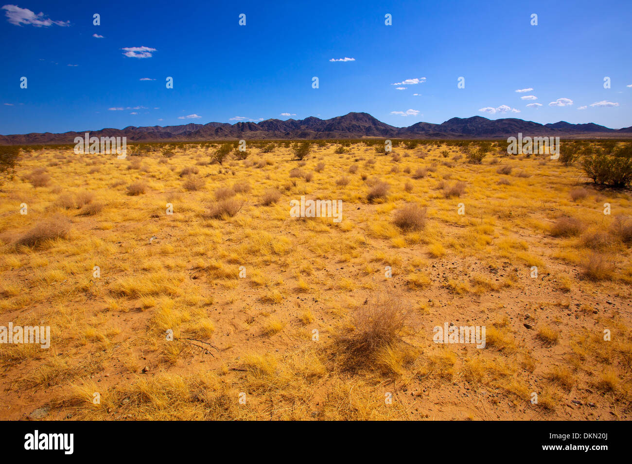 Mohave desert hi-res stock photography and images - Alamy