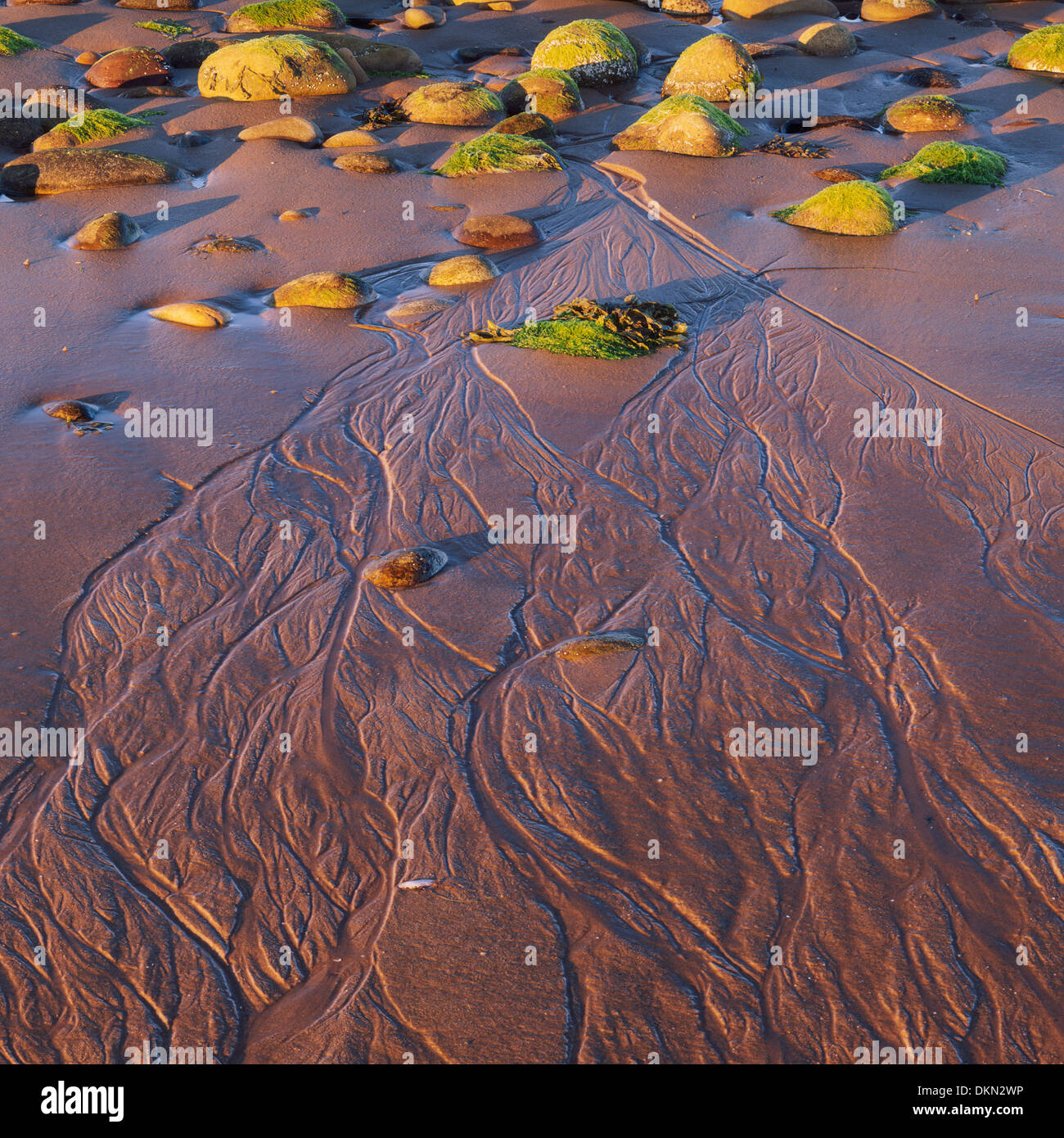 Patterns in the sand, Machrie Bay, Isle Of Arran, Scotland Stock Photo ...