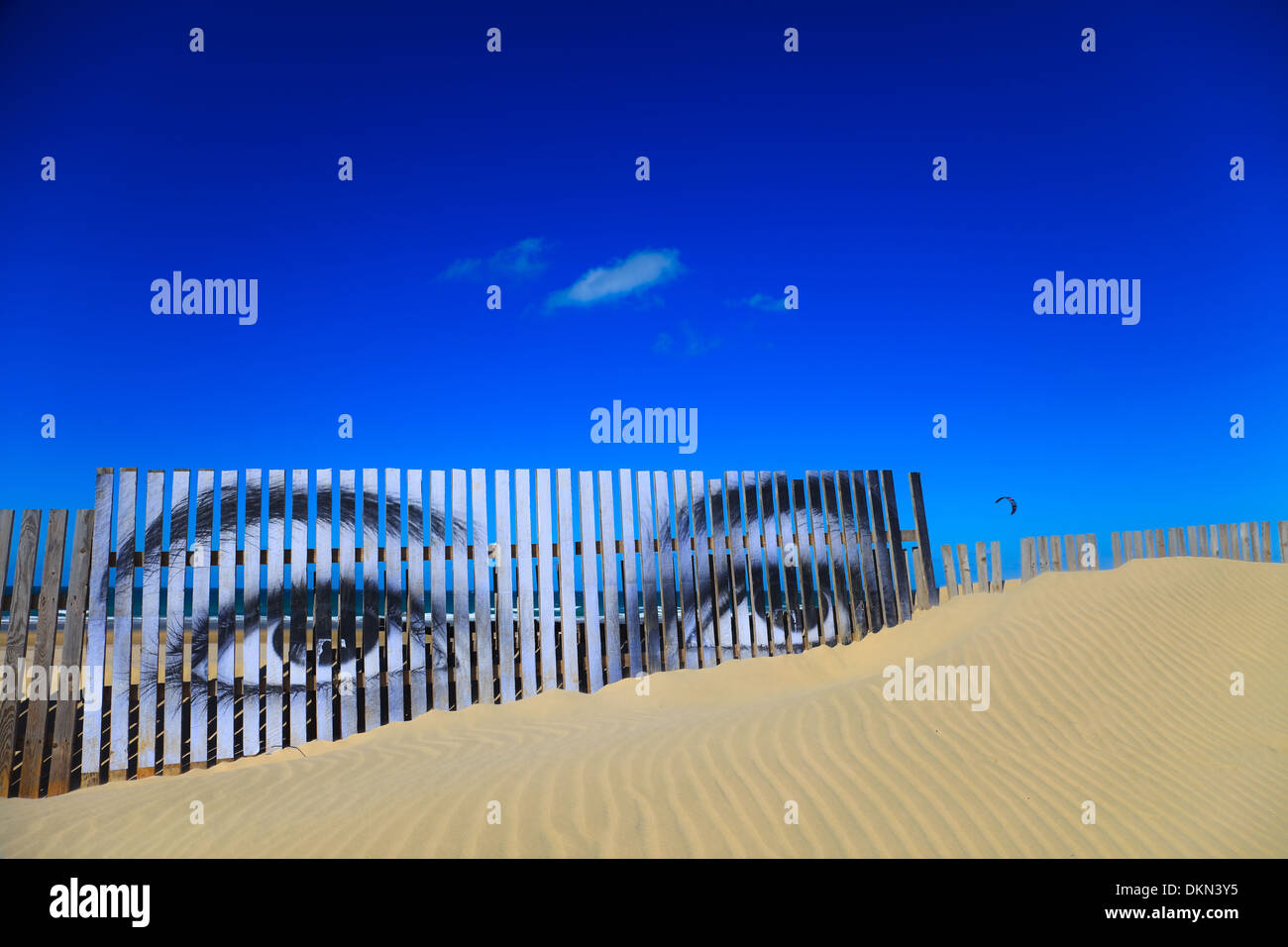 Superposed color hi-res stock photography and images - Alamy