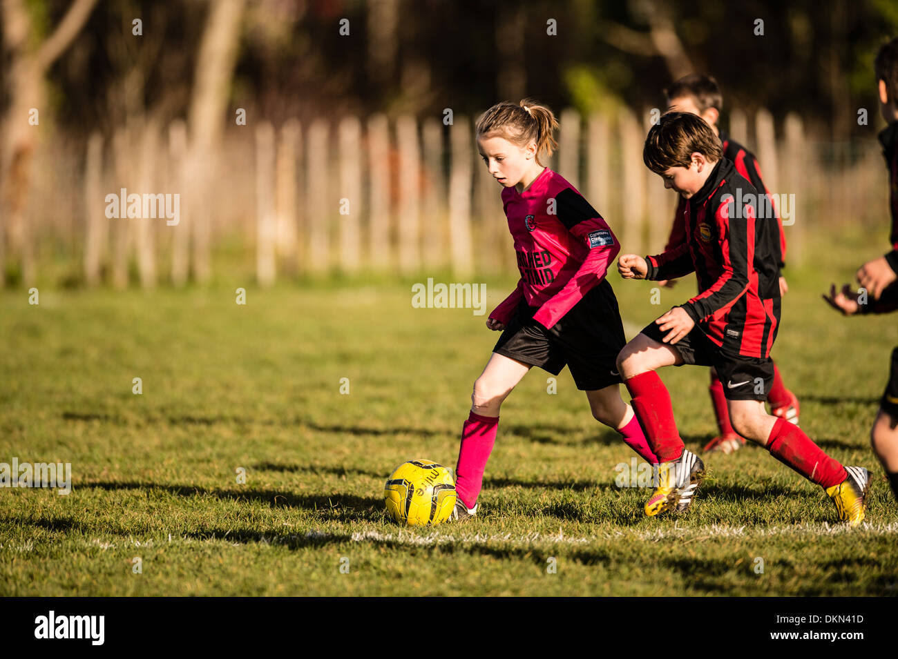 Primary school aged Boys and girls playing competitive football soccer ...