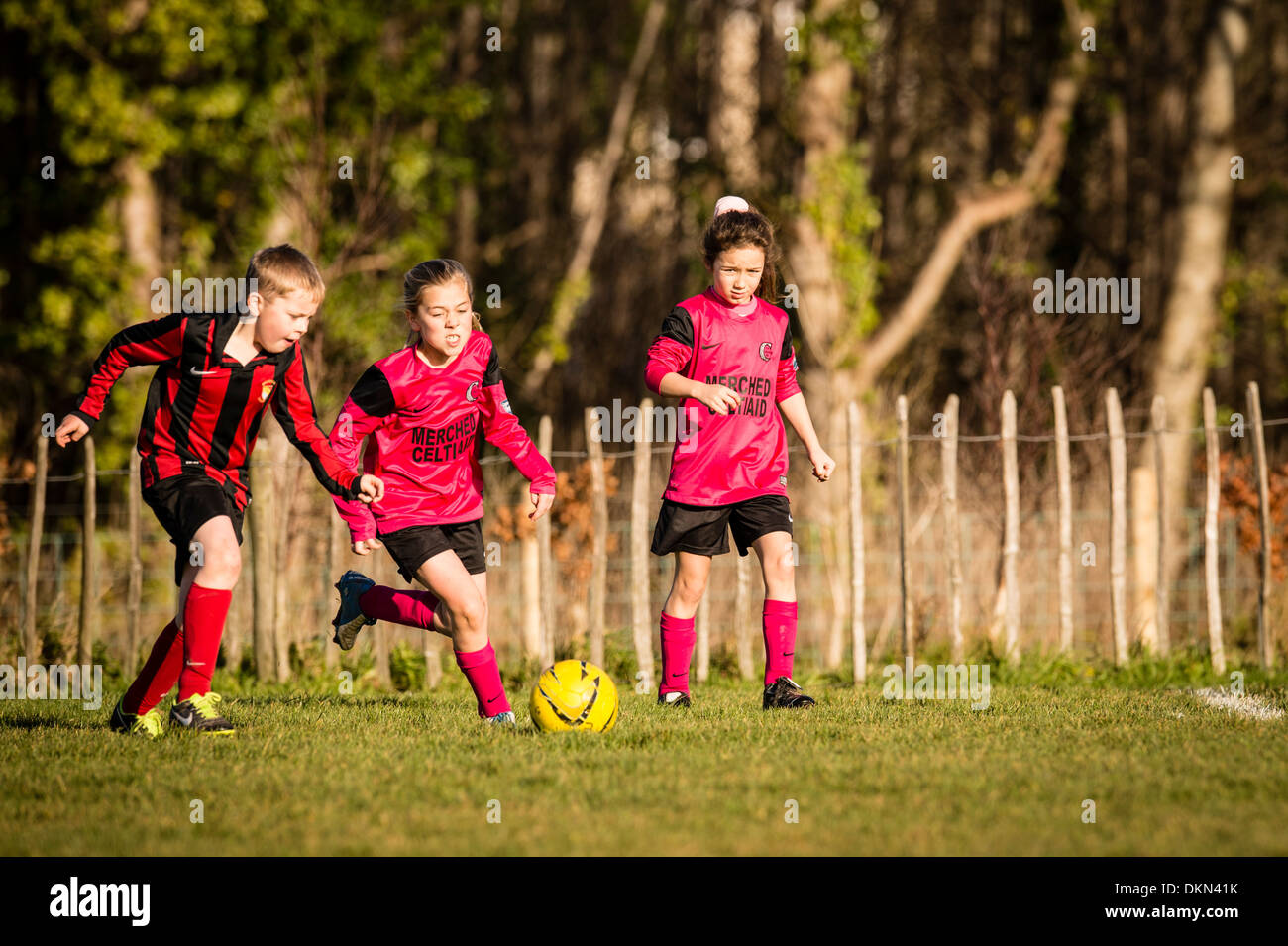 Primary school aged Boys and girls playing competitive football soccer ...
