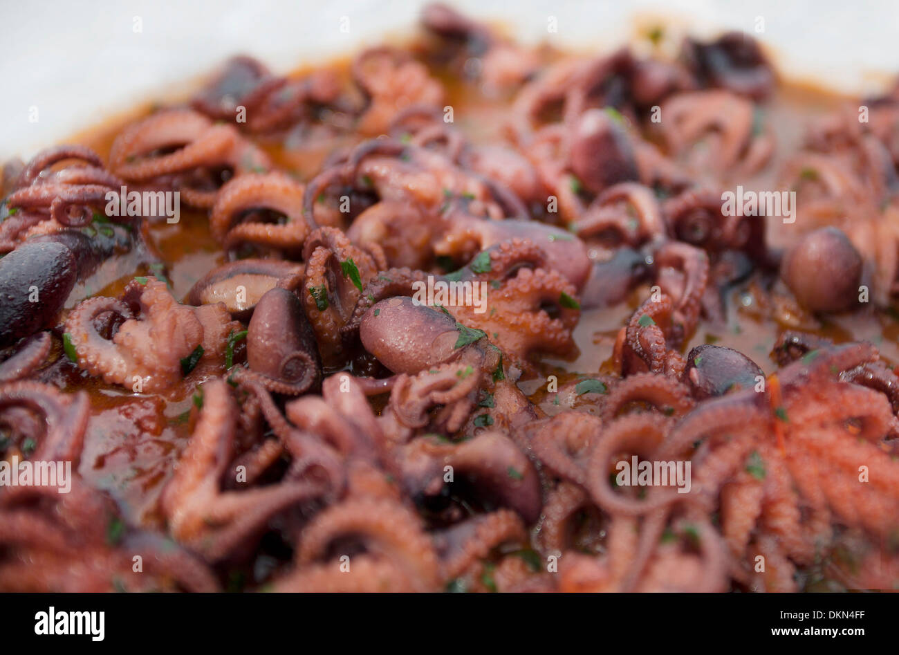 small octupus shellfish seafood in olive oil Stock Photo - Alamy