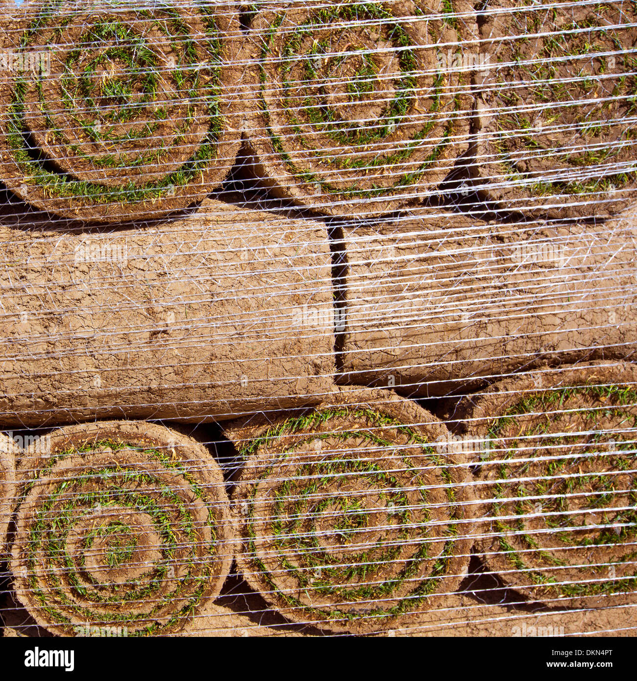 Stacked grass hi-res stock photography and images - Alamy