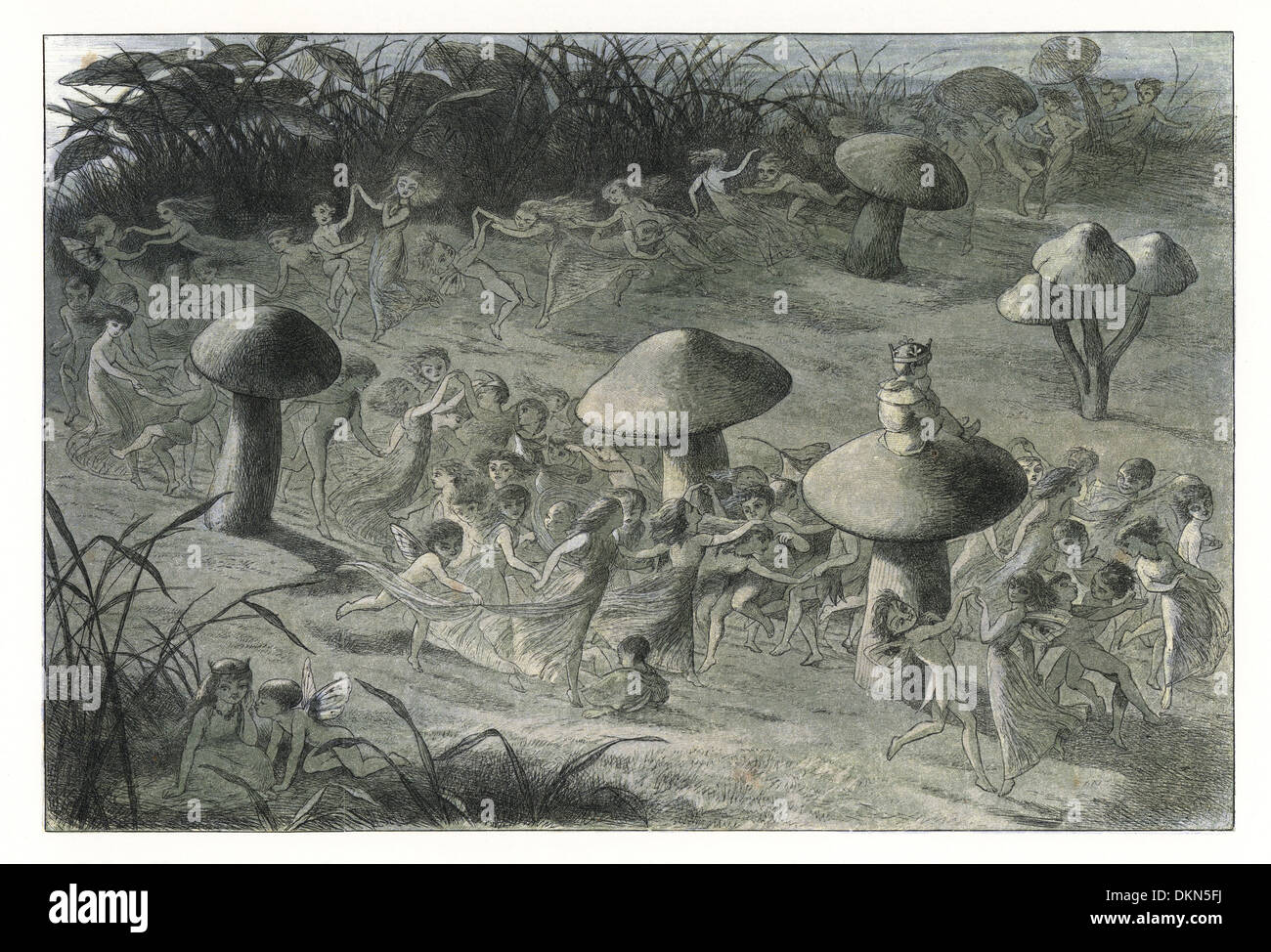 Elves and fairies dancing among the toadstools in the moonlight Stock ...