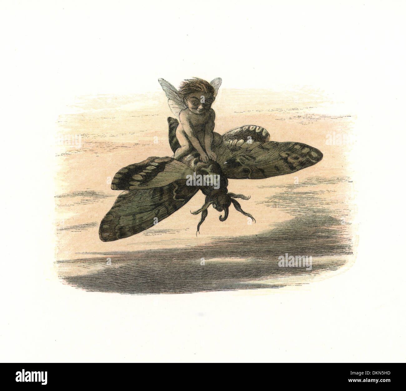 Flying Elf High Resolution Stock Photography and Images - Alamy