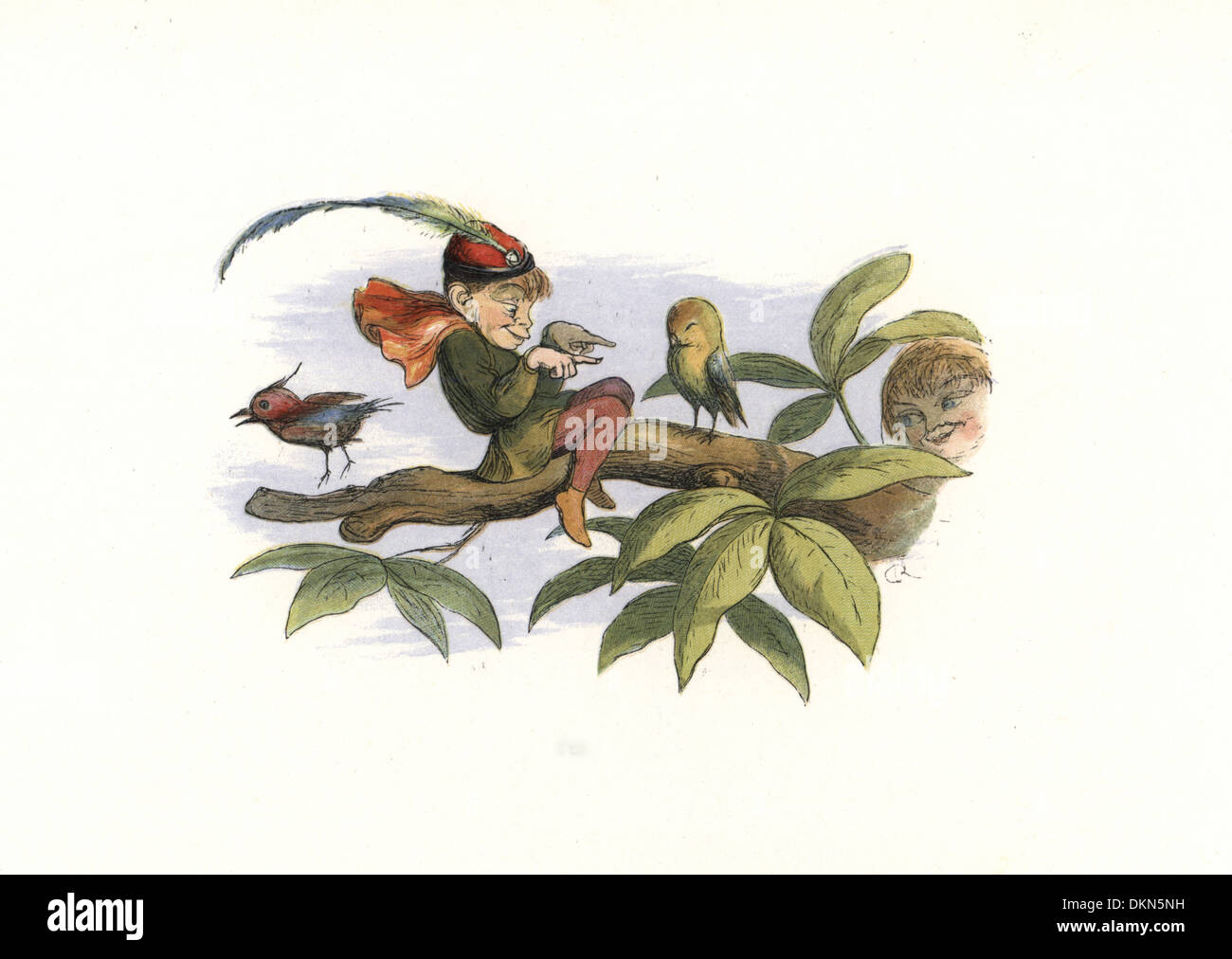 An elf teasing a little bird on a tree branch Stock Photo - Alamy