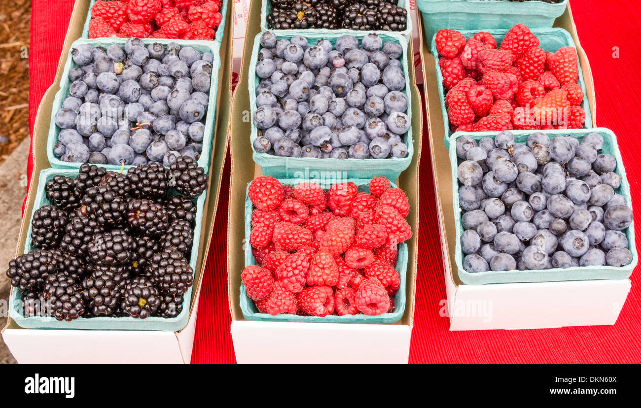 Fresh picked display of berries at the farmers market Stock Photo - Alamy
