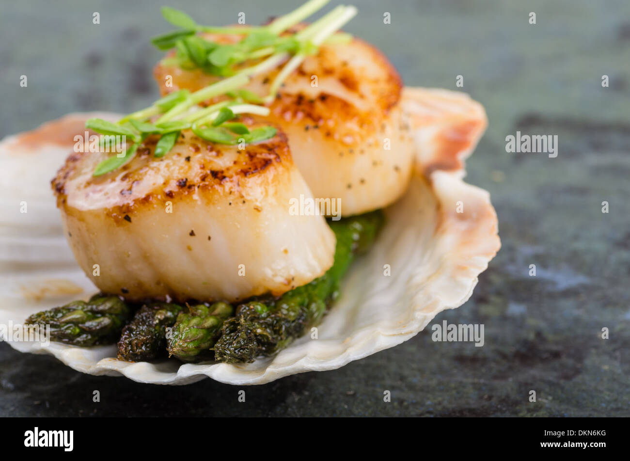 Freshly sauteed scallops with green asparagus on a shell Stock Photo ...