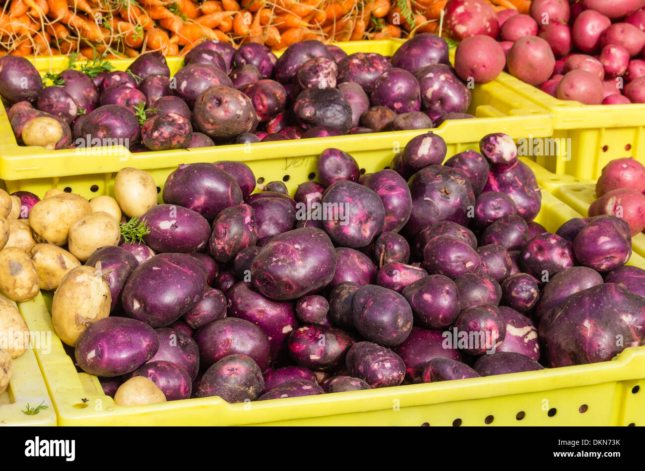 Freshly harvested potatoes on display at the market Stock Photo - Alamy