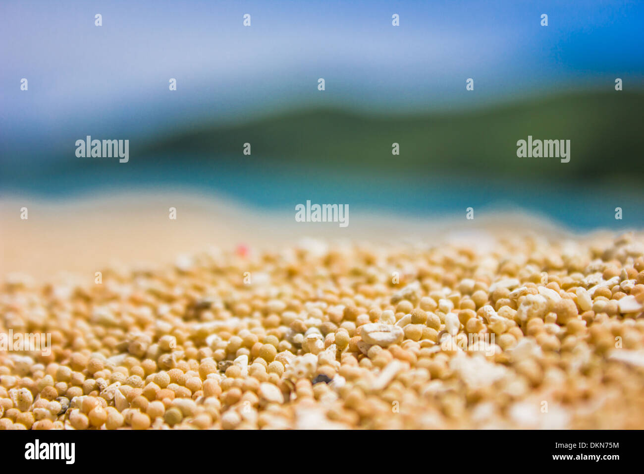 The sand at Kuta beach at Lombok, Indonesia, the sand resembles the ...