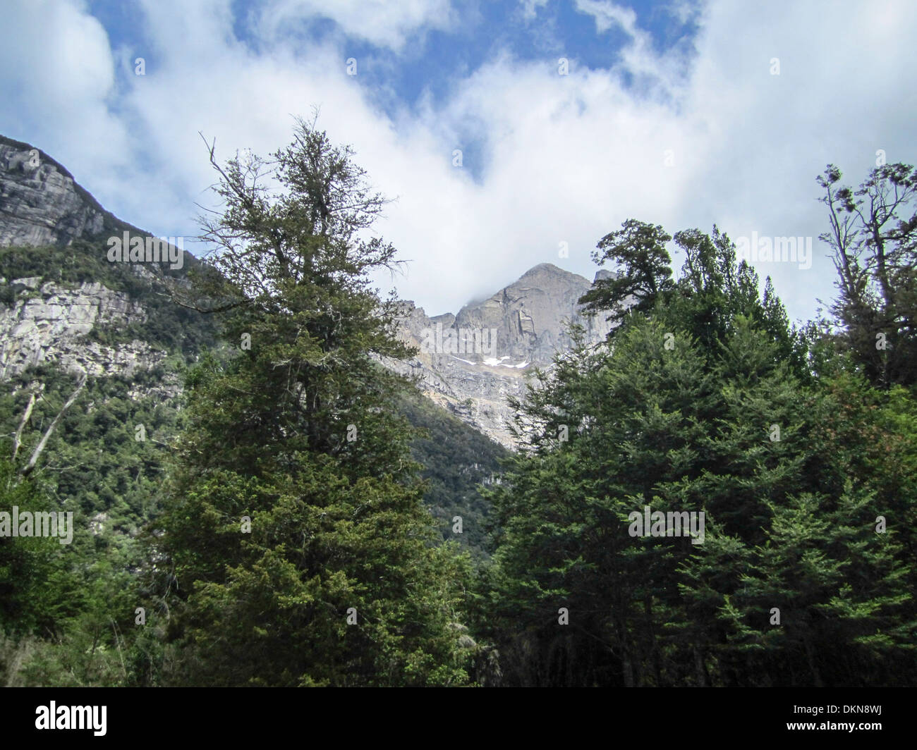 Carretera austral chile landscape hi-res stock photography and images ...