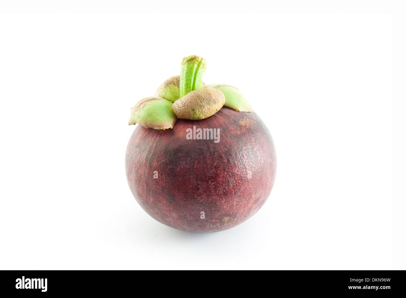 Mangosteen tree hi-res stock photography and images - Alamy