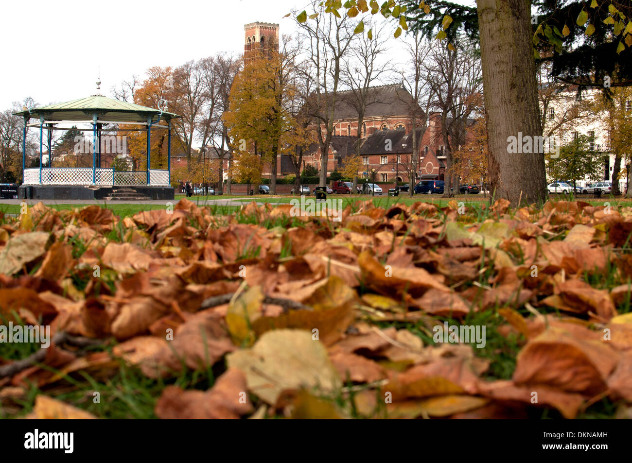 Fallen autumn leaves in Pump Room Gardens, Leamington Spa, UK Stock ...