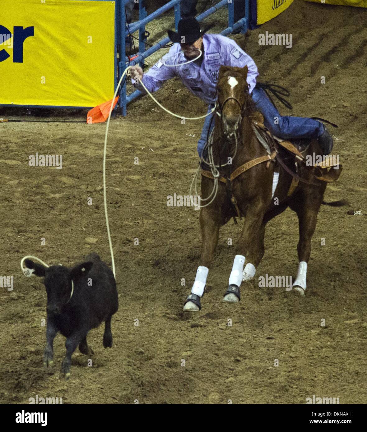 Las Vegas, Nevada, USA. 7th Dec, 2013. Tie-down roper Cody Ohl readies ...