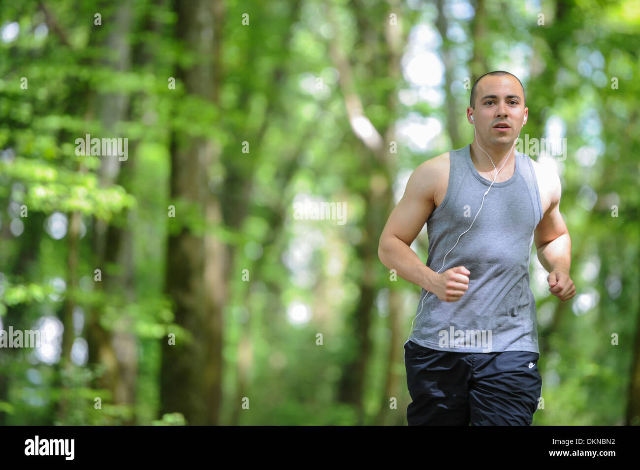 Running in the forest hi-res stock photography and images - Alamy