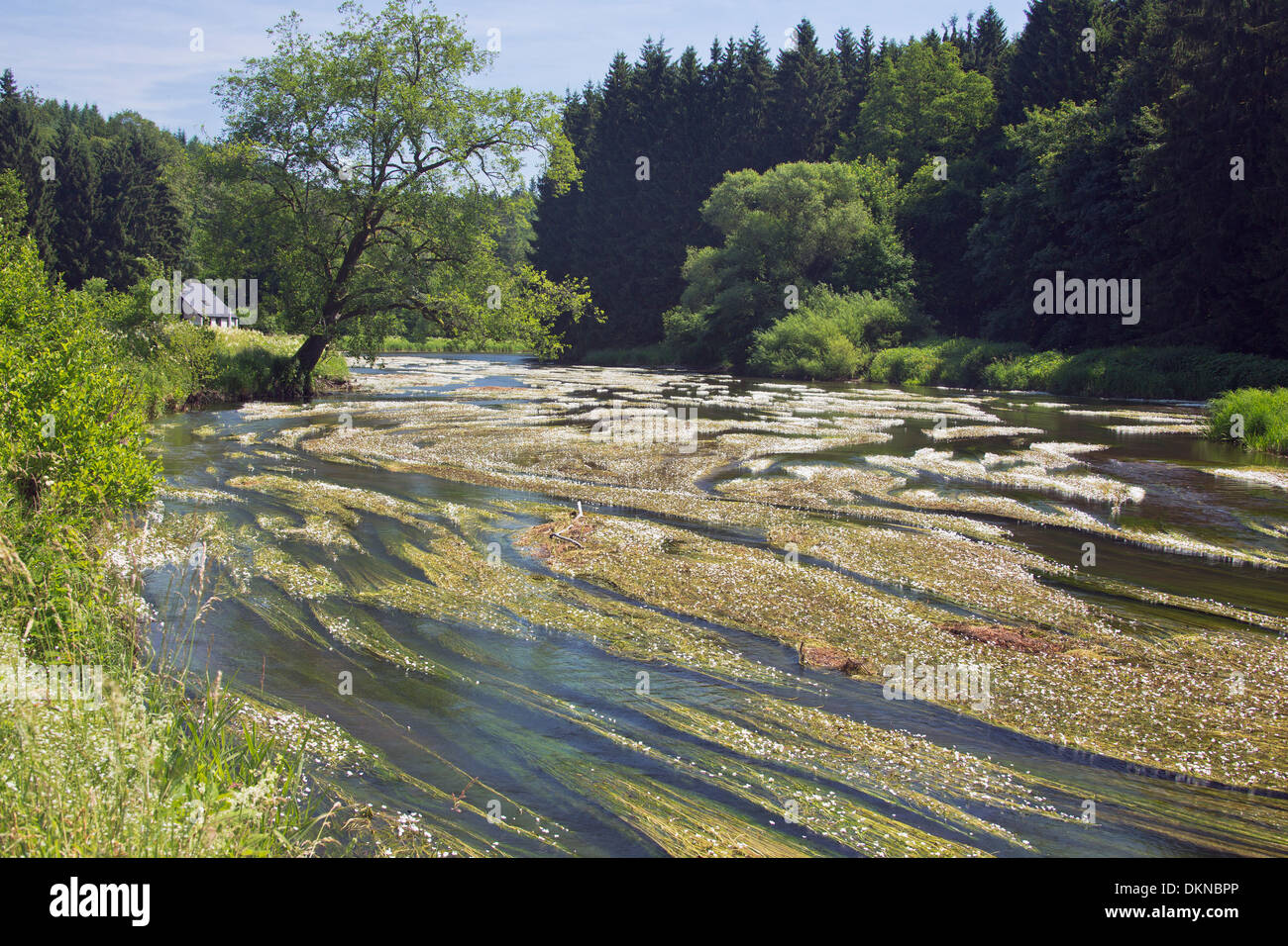 Valley of semois hi-res stock photography and images - Alamy