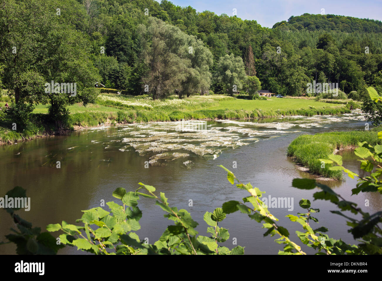Semois valley hi-res stock photography and images - Alamy