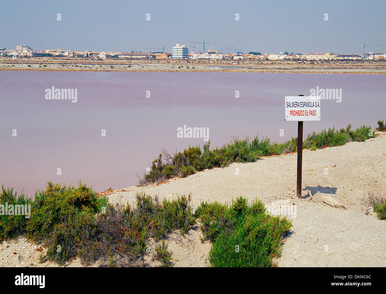 San pedro del pinatar hi-res stock photography and images - Alamy