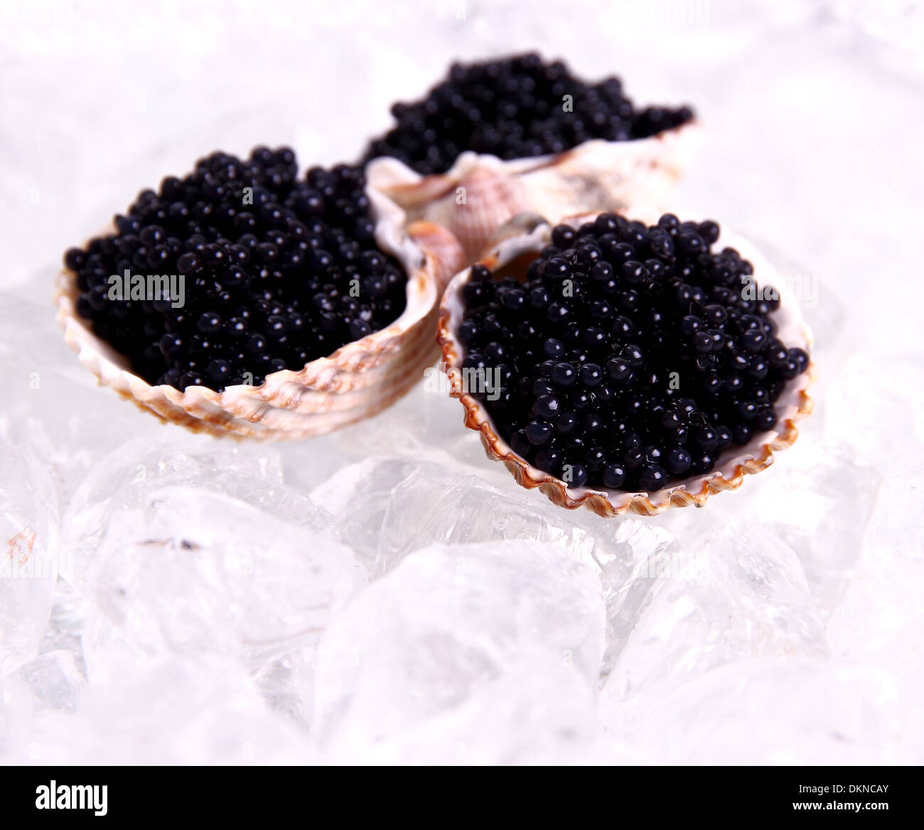 Three shell with black caviar on ice, close up Stock Photo - Alamy