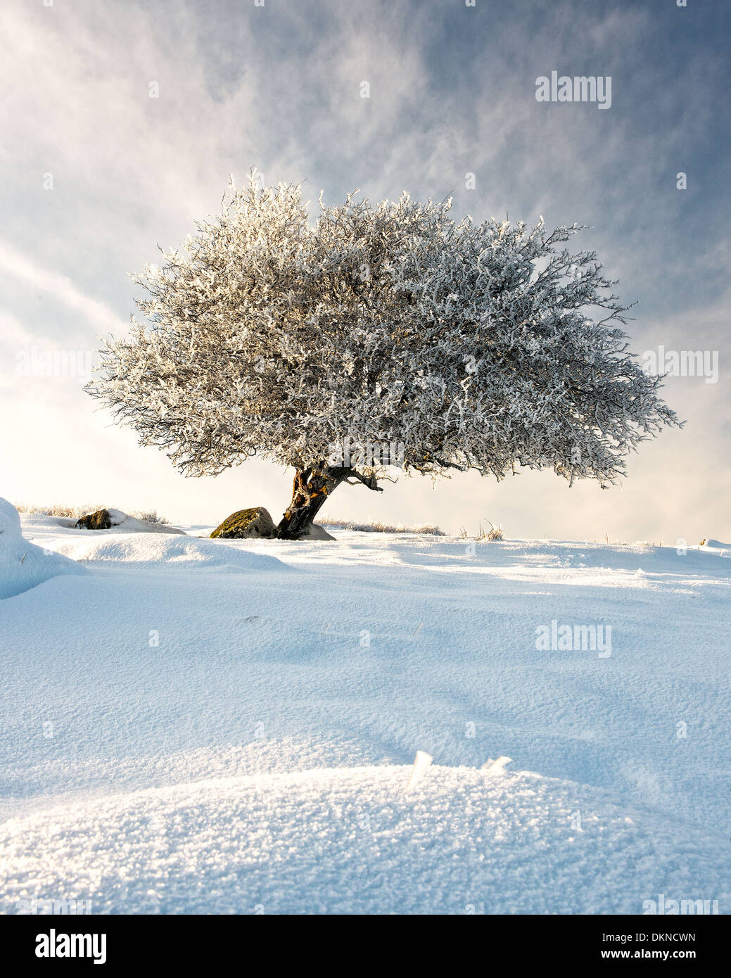 Heavy rime hi-res stock photography and images - Alamy