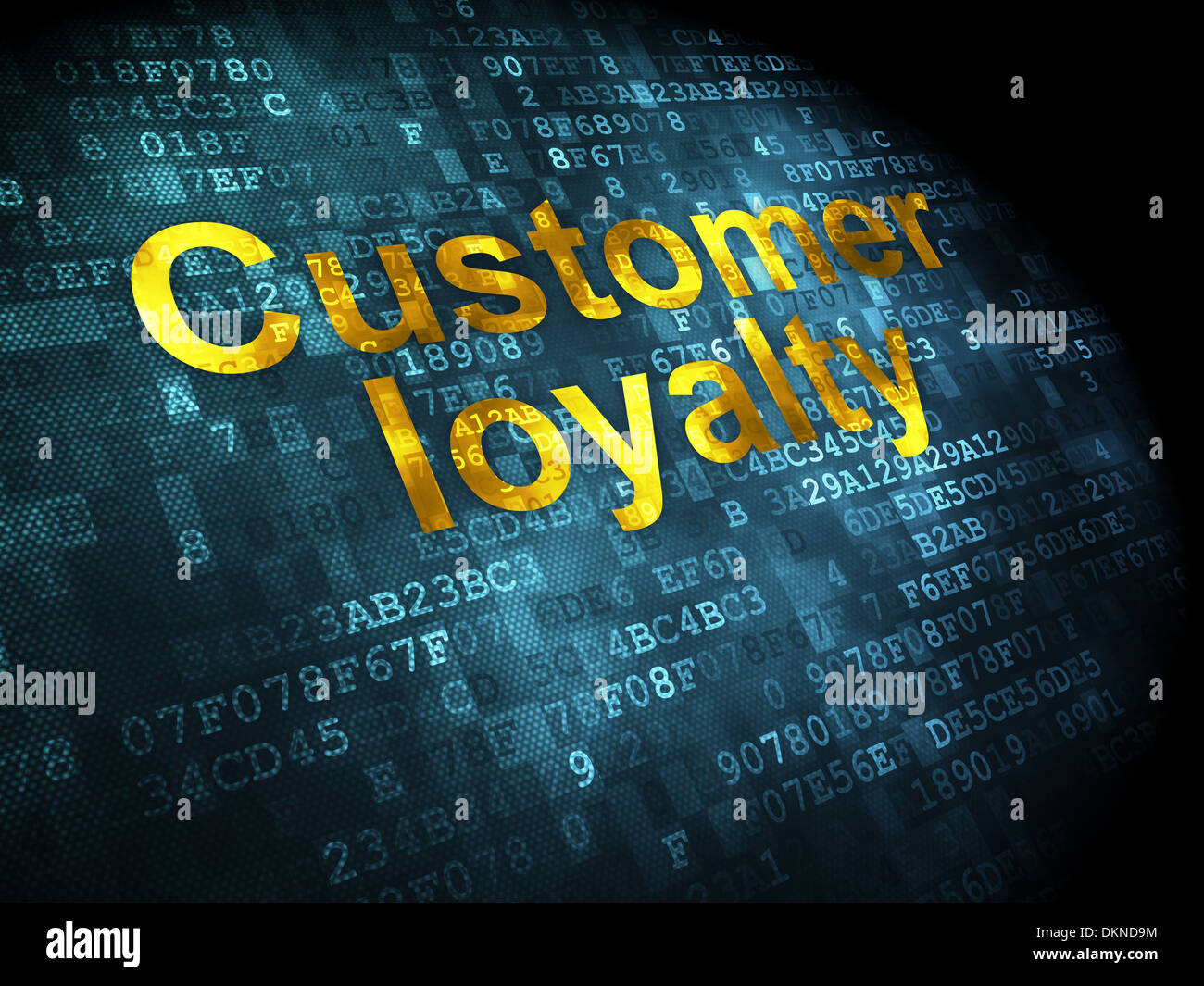 Marketing concept: Customer Loyalty on digital background Stock Photo ...