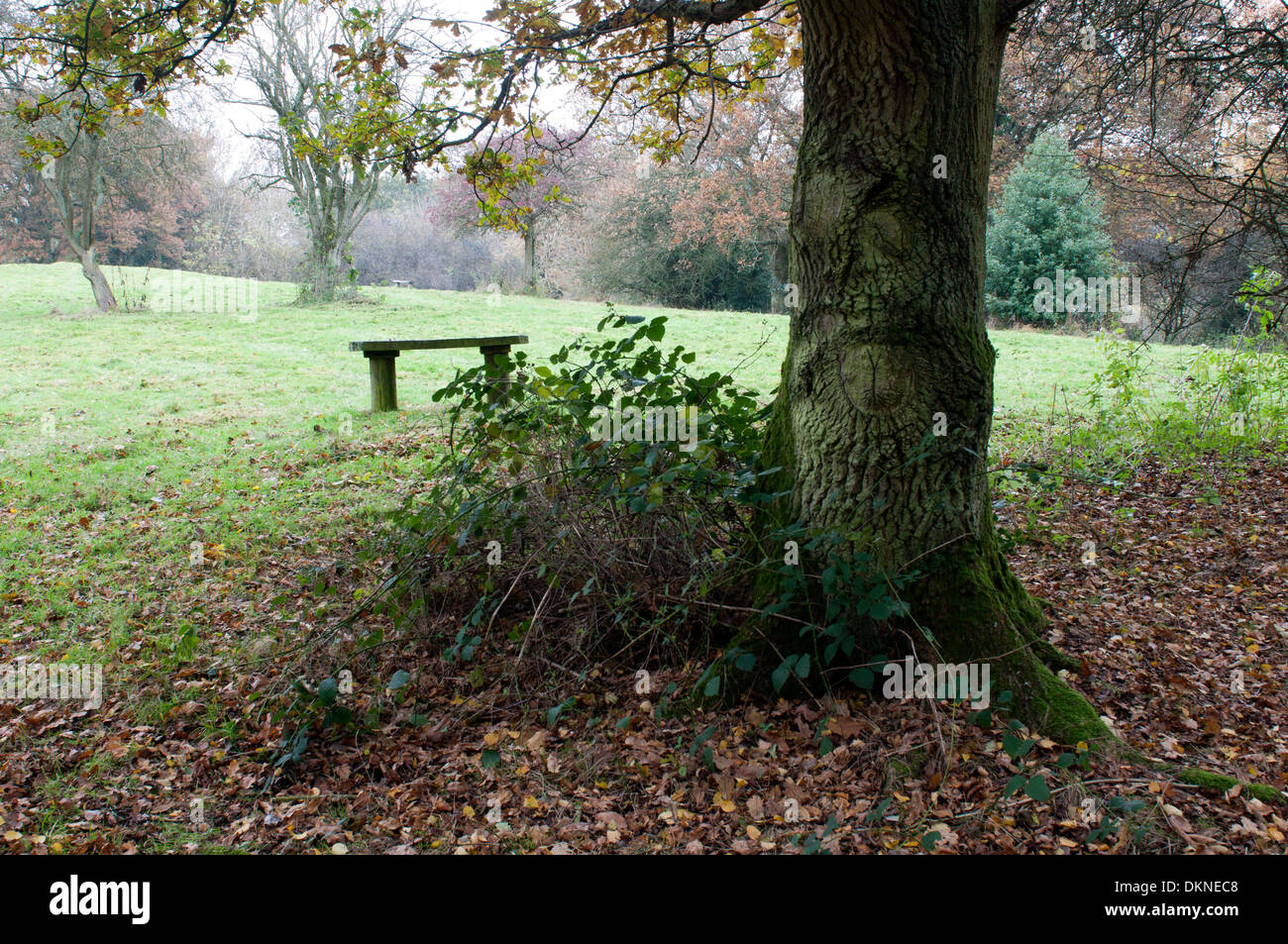 Claverdon hi-res stock photography and images - Alamy