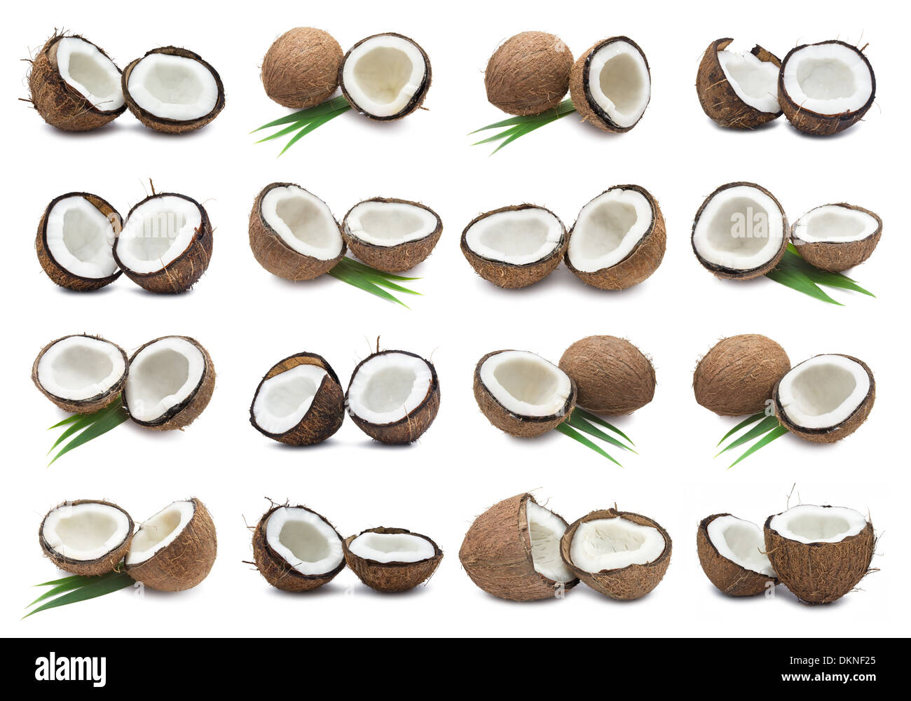 Coco tropical Cut Out Stock Images & Pictures - Alamy