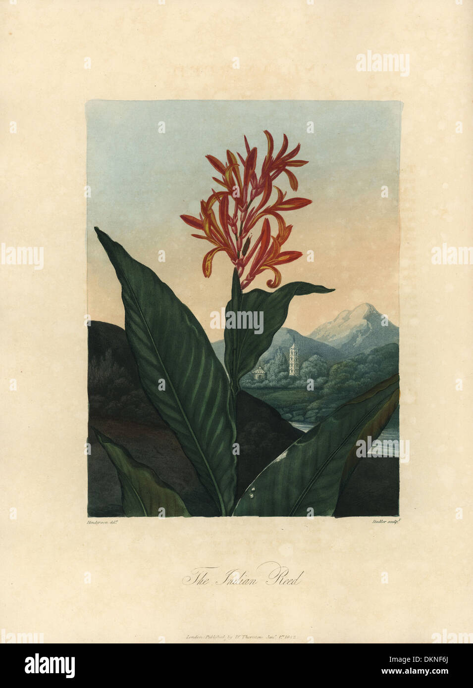 Robert reed hi-res stock photography and images - Alamy