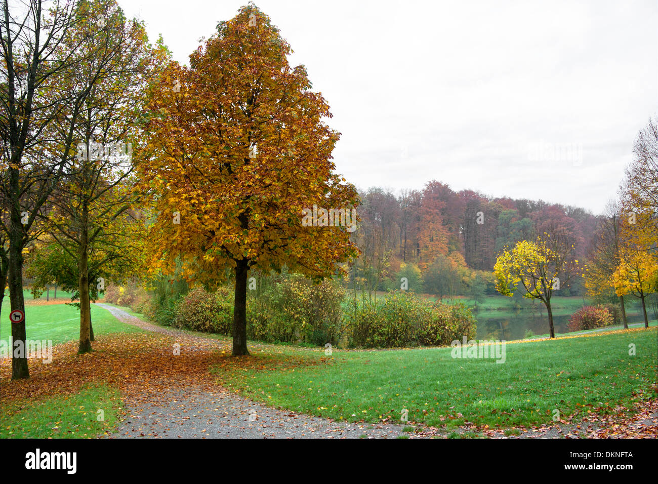 idyllic rural autumn scenery in Southern Germany Stock Photo - Alamy