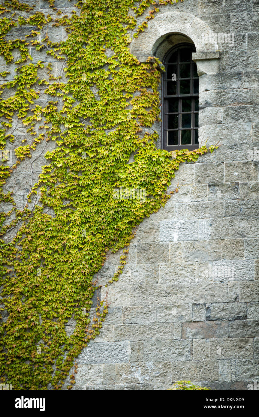 English castle tower Stock Photo - Alamy
