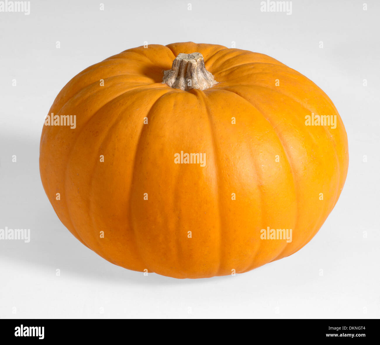 orange punpkin in light back Stock Photo - Alamy
