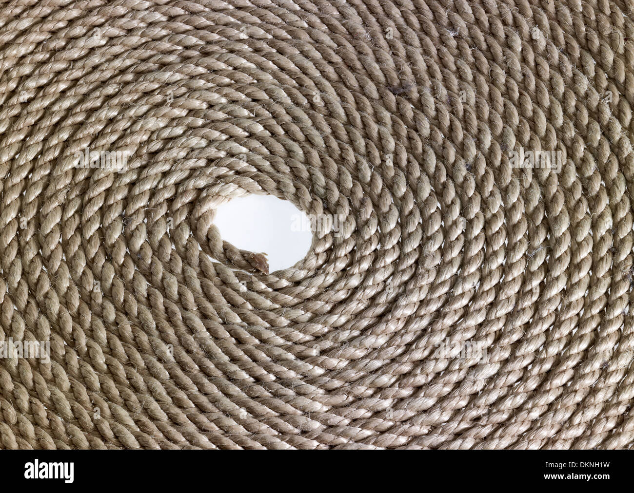 Rolled into a circle hi-res stock photography and images - Alamy