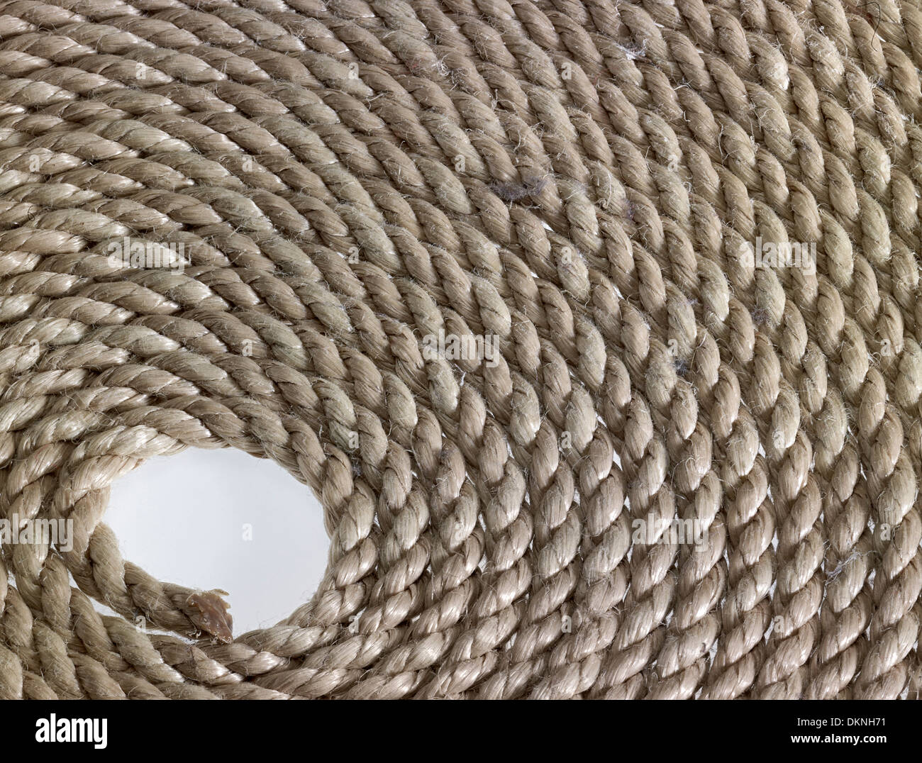 Rolled into a circle hi-res stock photography and images - Alamy