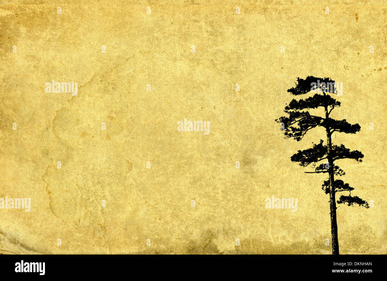 Pine tree illustration on vintage paper background Stock Photo - Alamy