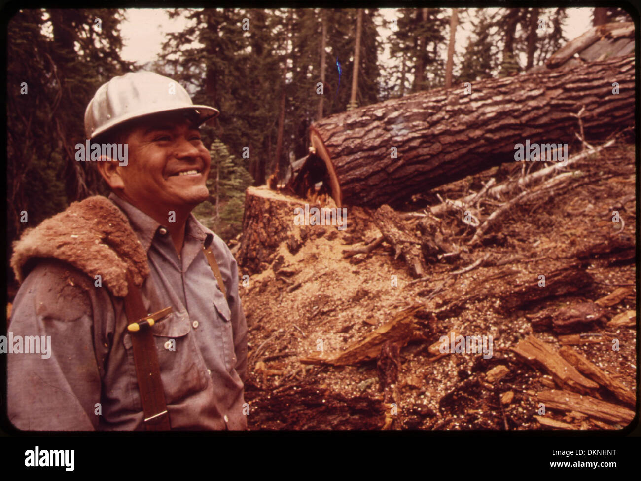 Tree faller hi-res stock photography and images - Alamy