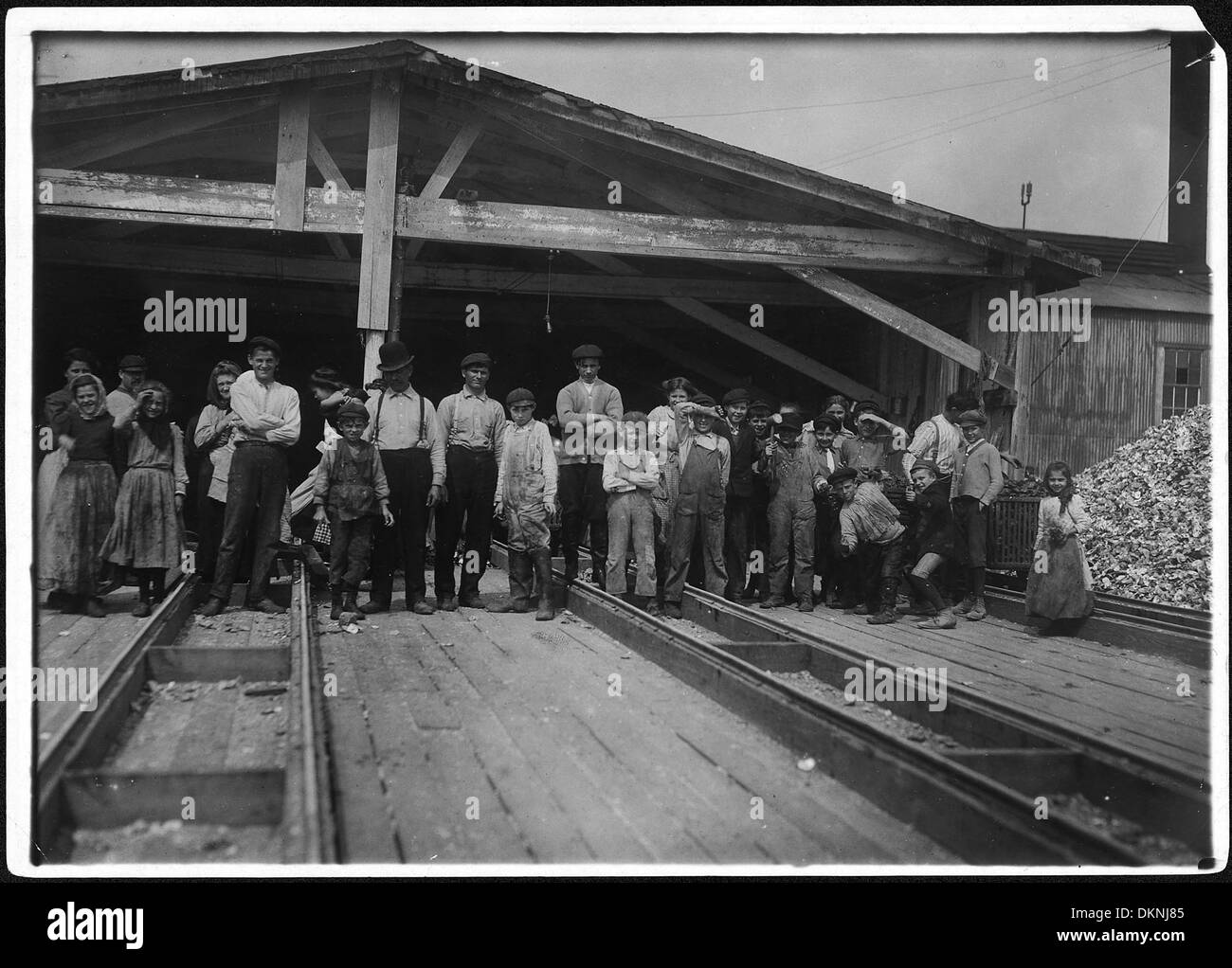 Young workers shucking oysters at the Pass Packing Co. in Pass ...