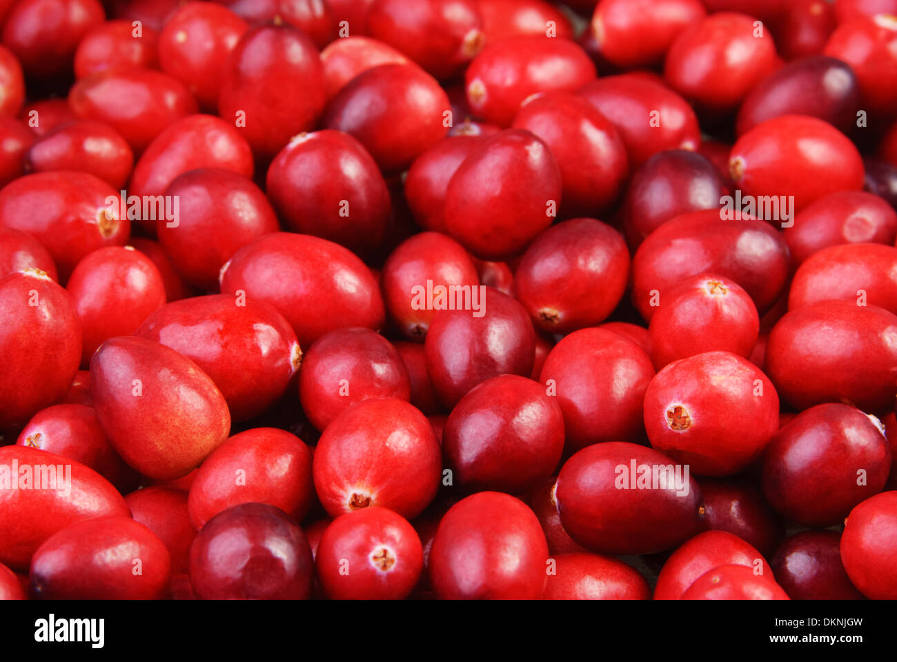Red Raw Cranberries background Stock Photo - Alamy