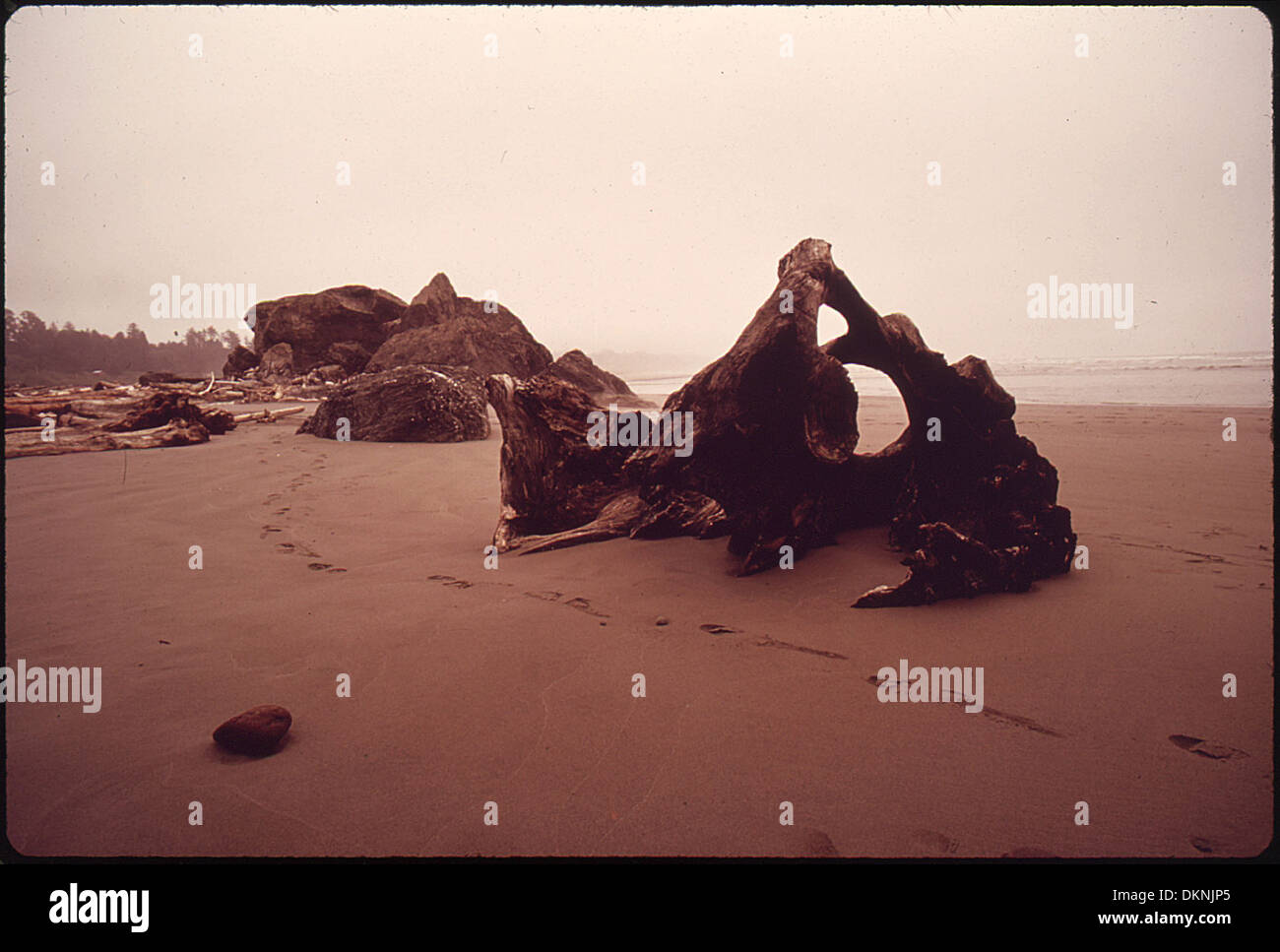 A scenic photograph of Moonstone Beach in California. The beach is ...