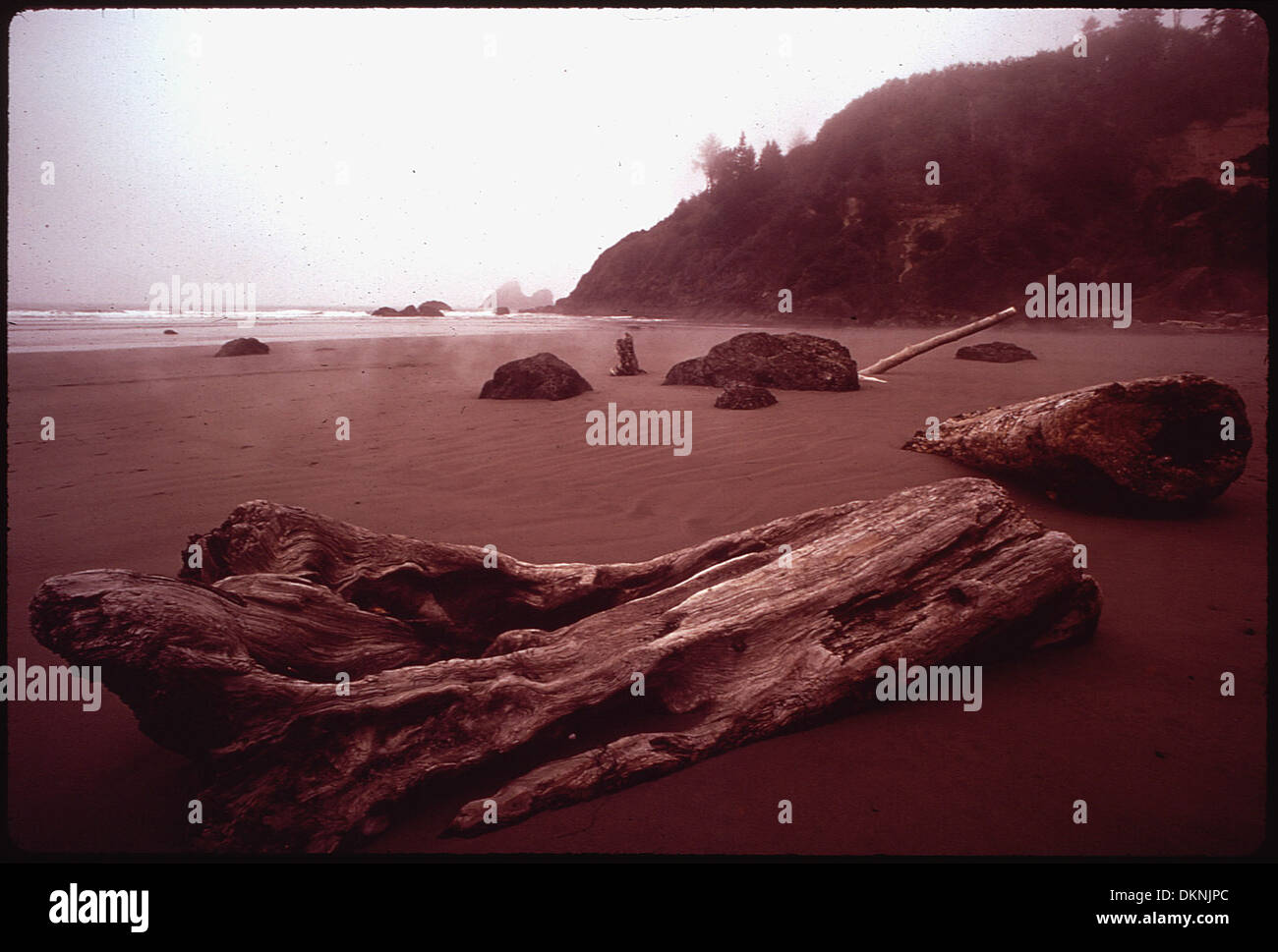 CALIFORNIA-MOONSTONE BEACH 542886 Stock Photo - Alamy