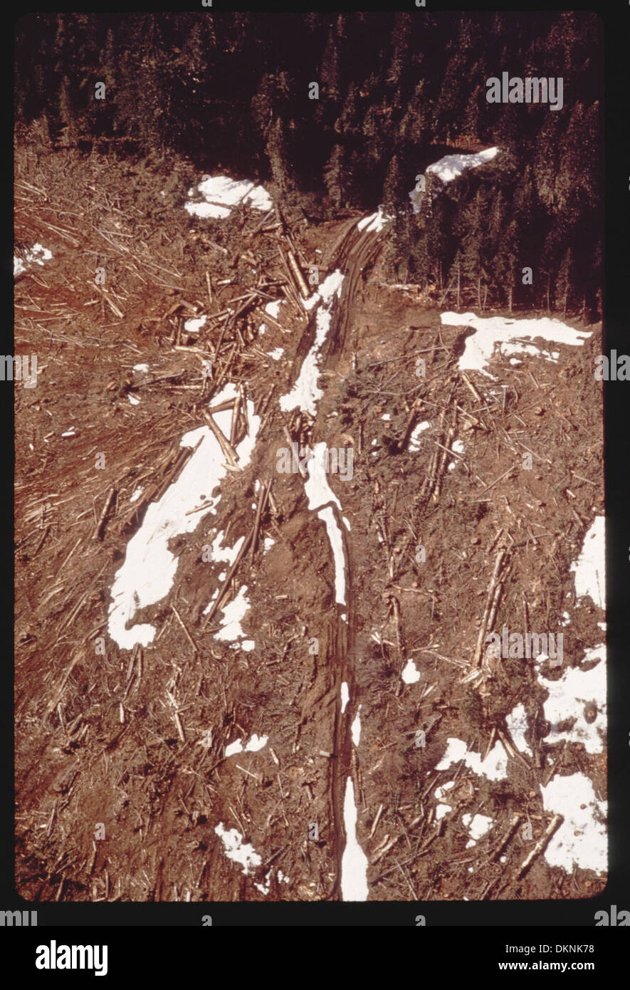 Clear cutting history hi-res stock photography and images - Alamy