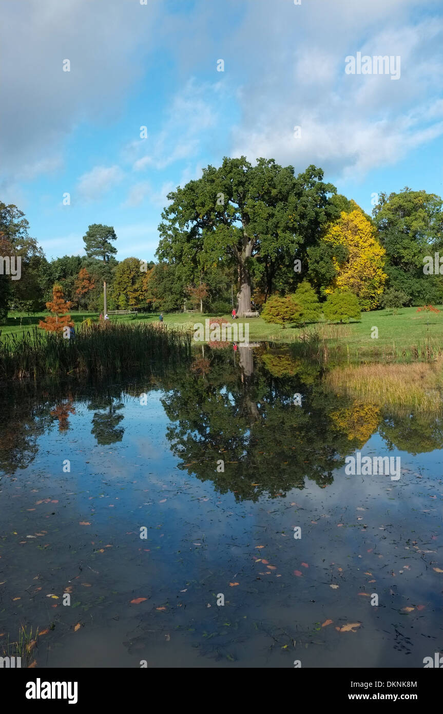 Lake at Thorp Perrow Arboretum Wildlife Park, Bedale, North Yorkshire ...