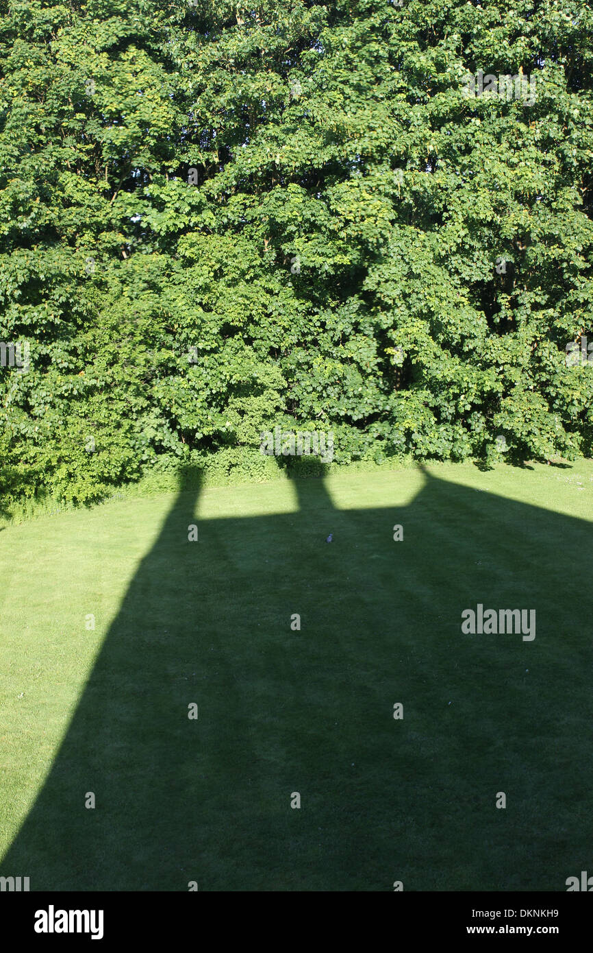 Shadow and trees hi-res stock photography and images - Alamy