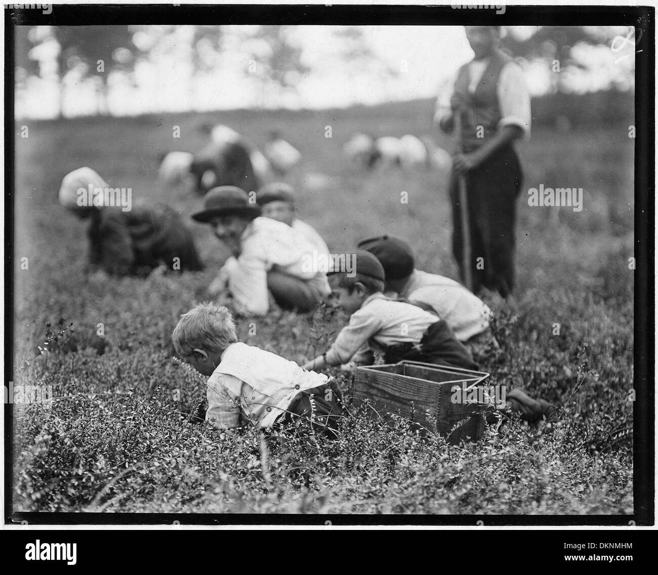 A photograph of Frank Denato, 6, Tom, 4, and Domino, 12, living in ...