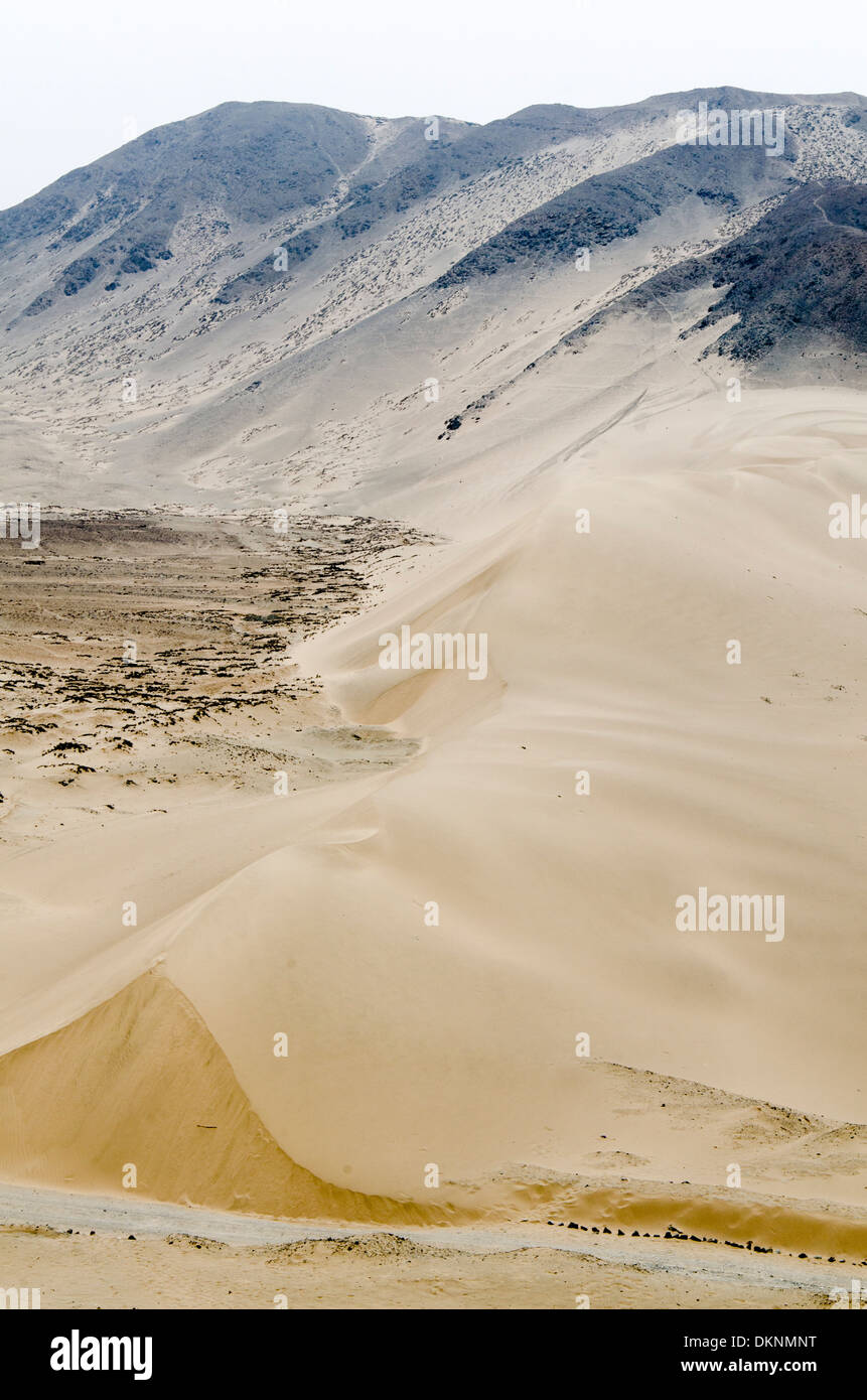 Caral ( 2600 BCE and 2000 BCE) the most ancient city of the Americas ...