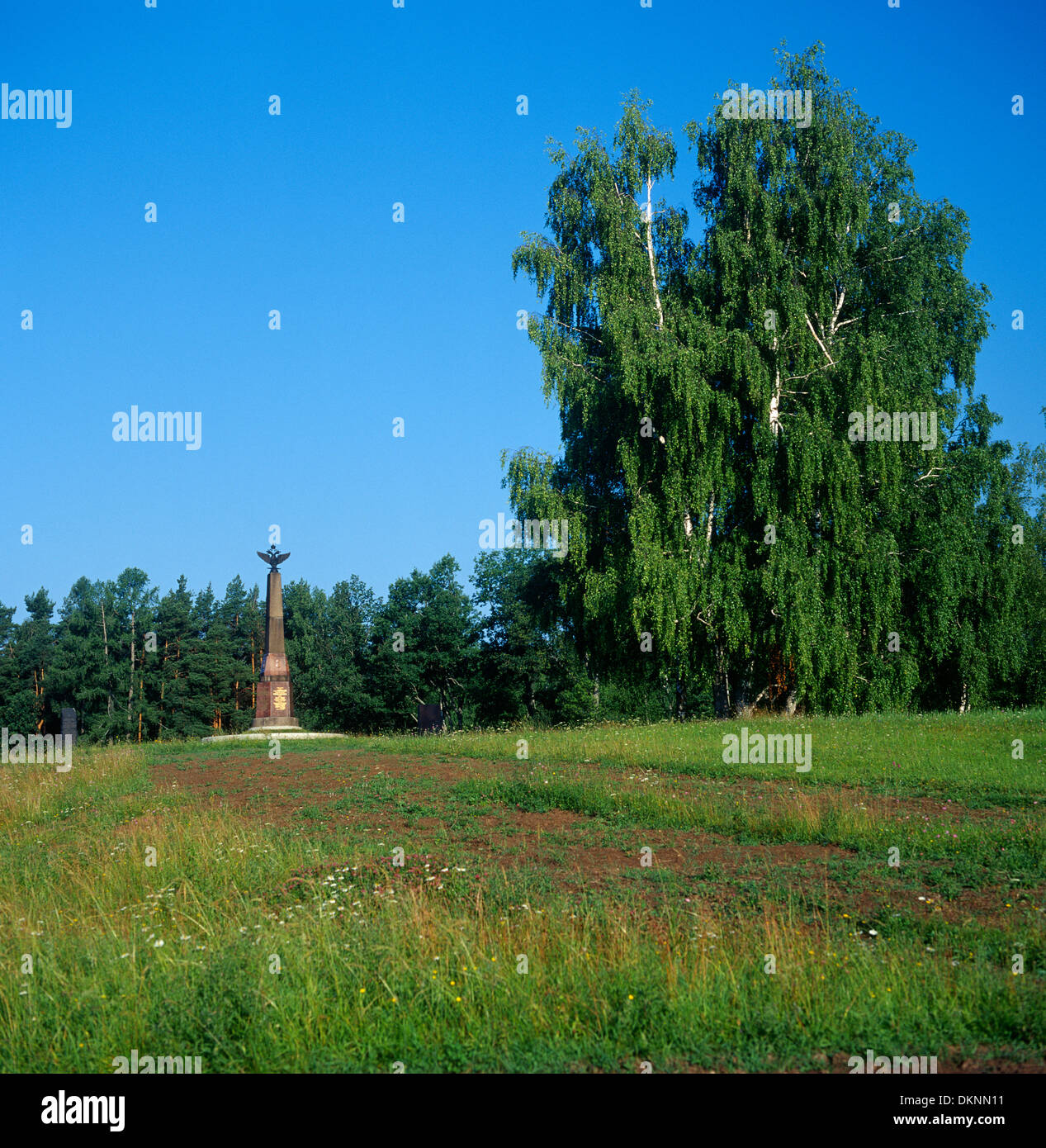 Grenadier division hi-res stock photography and images - Alamy