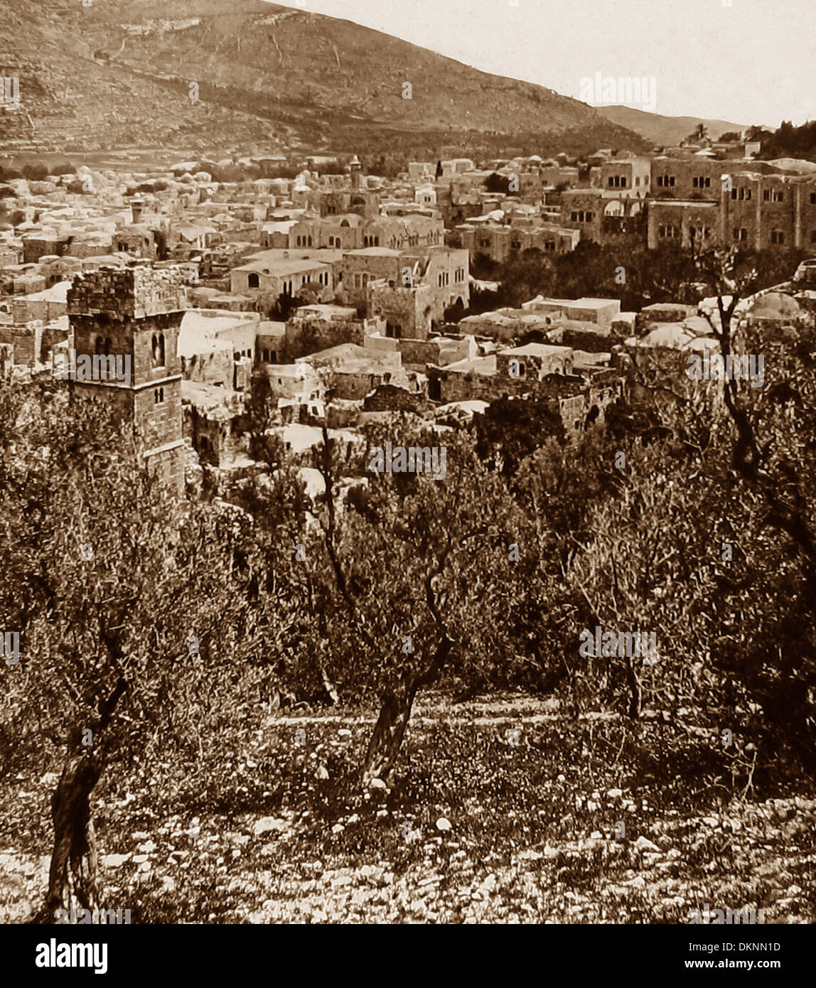 Shechem hi-res stock photography and images - Alamy