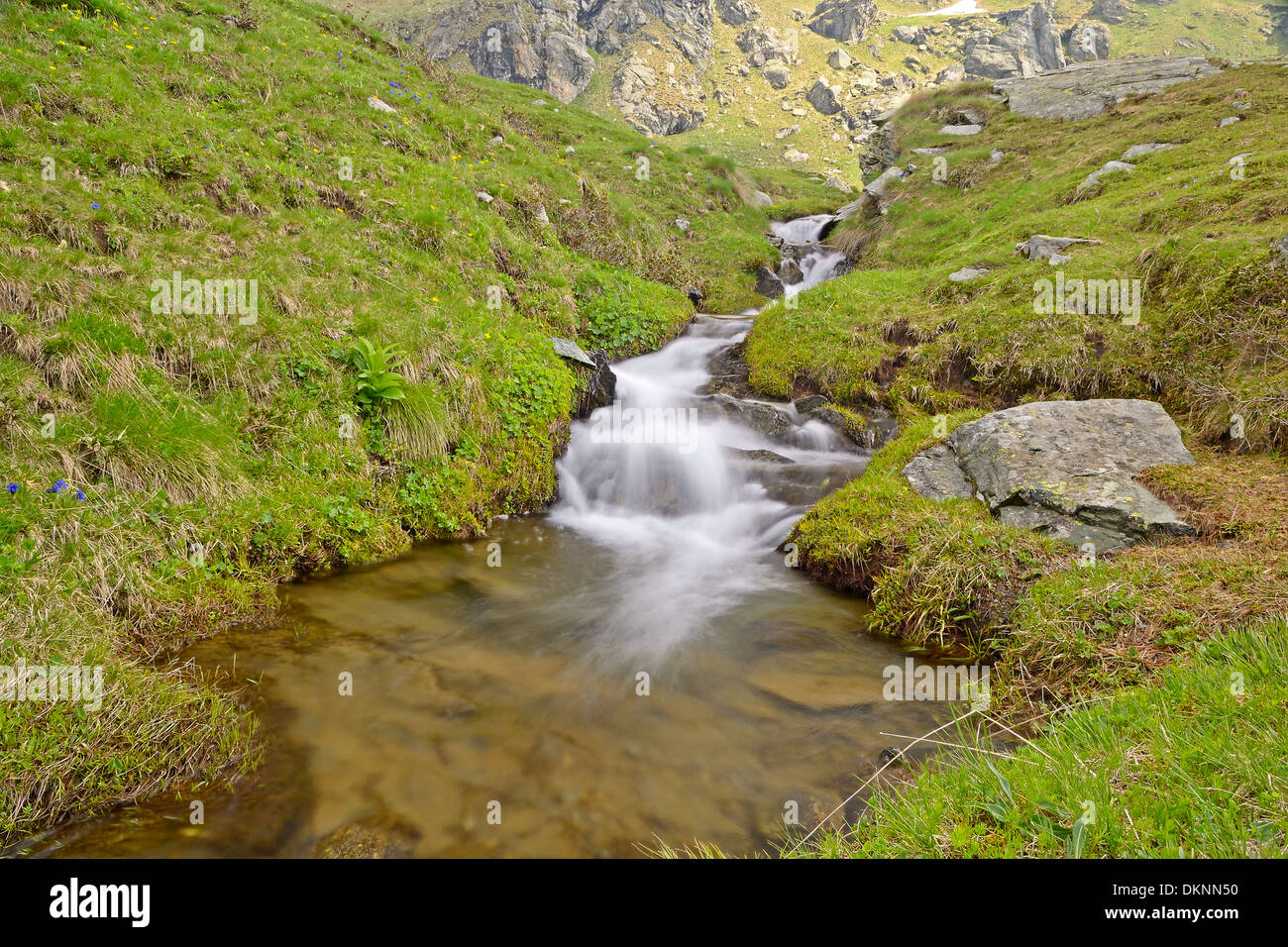Little stream flowing among rocks and lush green meadows, taken with ...