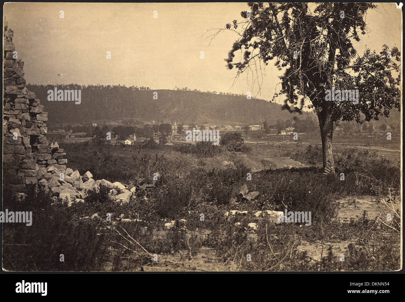 Ringold hi-res stock photography and images - Alamy