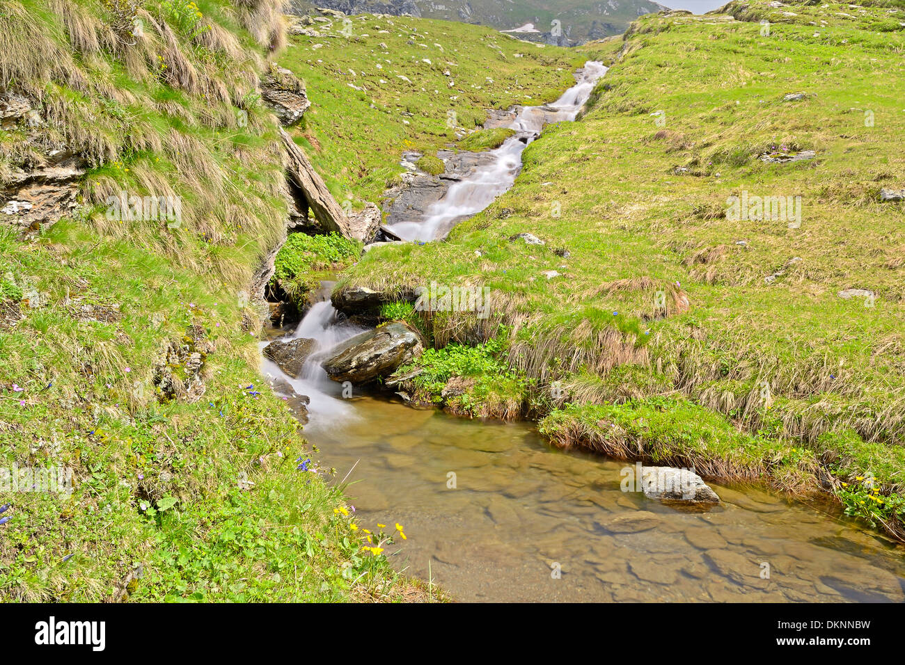 Stream flowing among rocks hi-res stock photography and images - Alamy