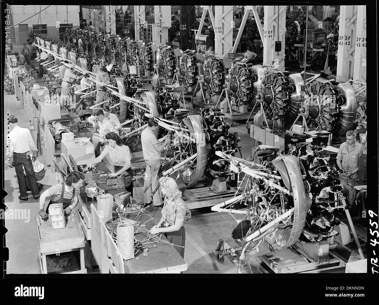 Inside the Douglas aircraft plant at El Segundo, California, rows of ...